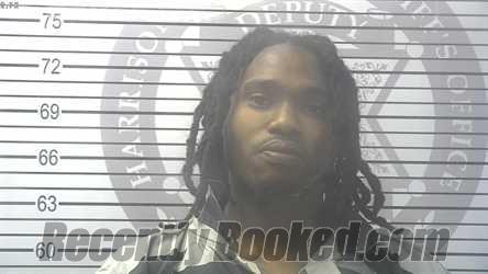 Recent Booking / Mugshot for LEE WILLIE NEWSOME in Harrison County ...
