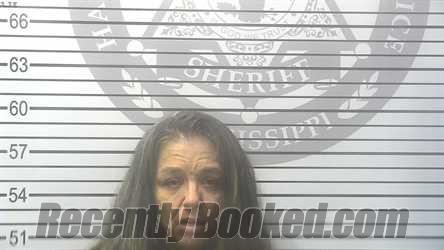 Recent Booking / Mugshot for MICHELLE DIANNA MACALUSO in Harrison ...
