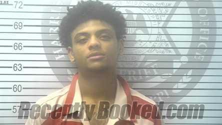 Recent Booking / Mugshot for MCNEAL ALBERT PEARSON in Harrison County ...