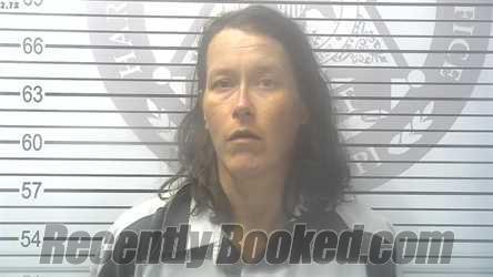 Recent Booking / Mugshot for ROBYN ASHLEY FOLKS in Harrison County ...