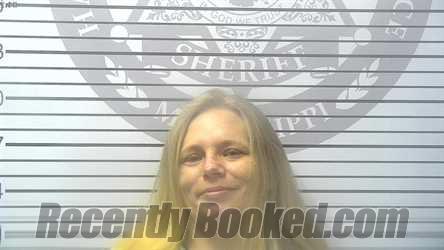 Recent Booking / Mugshot for STEPHANIE ALBERTHA TURAN in Harrison ...