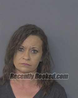 Recent Booking / Mugshot for DIXIE DAWN REED in Union County, North ...