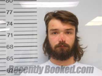 Recent Booking / Mugshot for DICKSON BURNEY RAY in Lafayette County ...