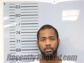 Recent Booking / Mugshot for JALENE JAMON YOUNG in Lafayette County ...