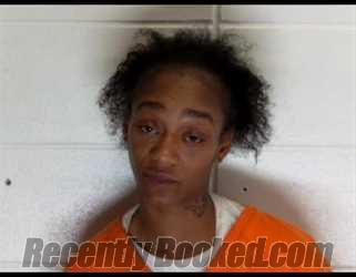Recent Booking / Mugshot for CHELSEY ROSS BAKER in Lowndes County ...
