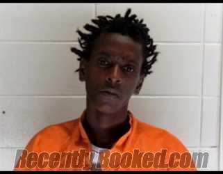 Recent Booking / Mugshot for DAMIEN LAMAR PETTY in Lowndes County ...
