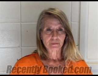 Recent Booking / Mugshot for SHEILA KAYE FINCH in Lowndes County ...