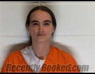 Recent Booking / Mugshot for BRANDY NICHOLE COOK in Lowndes County ...