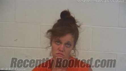 Recent Booking / Mugshot for Amber Nicole Lowery in Marion County ...