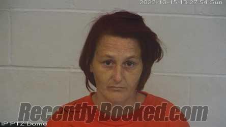 Recent Booking / Mugshot for Christina Renee Whitehead in Marion County ...