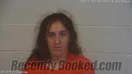 Recent Booking / Mugshot for Savannah Nell Dewitt in Marion County ...