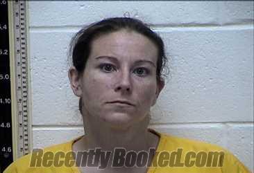 Recent Booking / Mugshot for AMANDA NICOLE MITCHELL in Pearl River ...