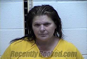 Recent Booking / Mugshot for SANDRA KAY ULMER in Pearl River County ...