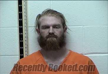 Recent Booking / Mugshot for DAVID LAVOY BREWER in Pearl River County ...