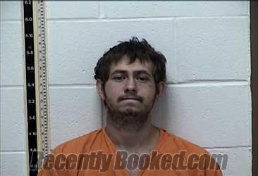 Recent Booking / Mugshot for DAVID EVERETT MILLER in Pearl River County ...