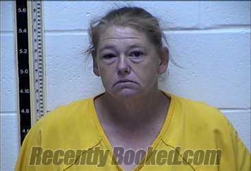 Recent Booking / Mugshot for SARA LAYNE EDWARDS in Pearl River County ...
