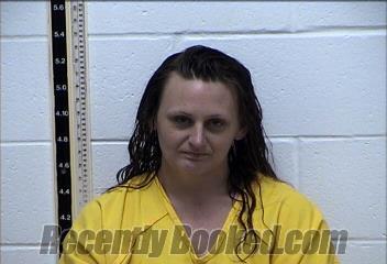 Recent Booking / Mugshot for STEPHANIE MARIE HARRIS in Pearl River ...