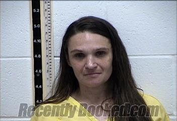 Recent Booking / Mugshot for CRYSTAL LYNN WILT in Pearl River County ...
