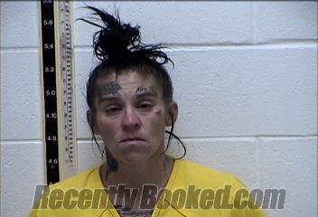 Recent Booking / Mugshot for DANIELLE ELIZABETH DORR in Pearl River ...