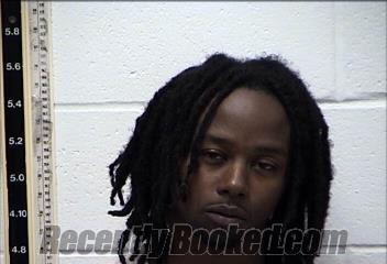 Recent Booking / Mugshot for TYLER TYRELL WILCOX in Pearl River County ...