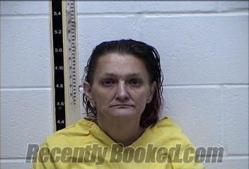 Recent Booking / Mugshot for LEIGH ANNA BUNN in Pearl River County ...