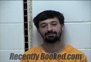Recent Booking / Mugshot for BRANDON LEE BILLIOT in Pearl River County ...