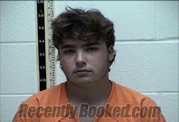 Recent Booking / Mugshot for DYLON JACKSON WERTZ in Pearl River County ...