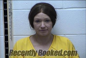 Recent Booking / Mugshot for LINDSEY MARIE LEWIS in Pearl River County ...