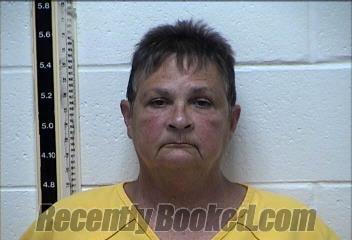 Recent Booking / Mugshot for SANDRA KAYE BOUNDS in Pearl River County ...