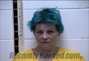 Recent Booking / Mugshot for JULIA ANGLIN RUSS in Pearl River County ...