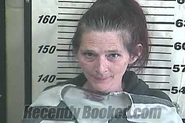 Recent Booking / Mugshot for SHANNON MICHELLE BREESE in Perry County ...