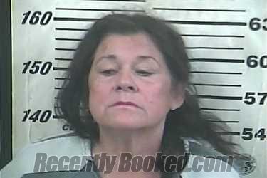 Recent Booking / Mugshot for ZABRINA ROXANNE BREWER in Perry County ...