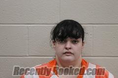 Recent Booking / Mugshot for HAILEE MARIE WILSON in Andrew County, Missouri