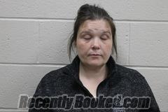 Recent Booking / Mugshot for SARAH MARIE COOK in Andrew County, Missouri
