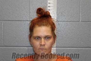 Recent Booking / Mugshot for Brandy Marie Perkins in Bates County, Missouri