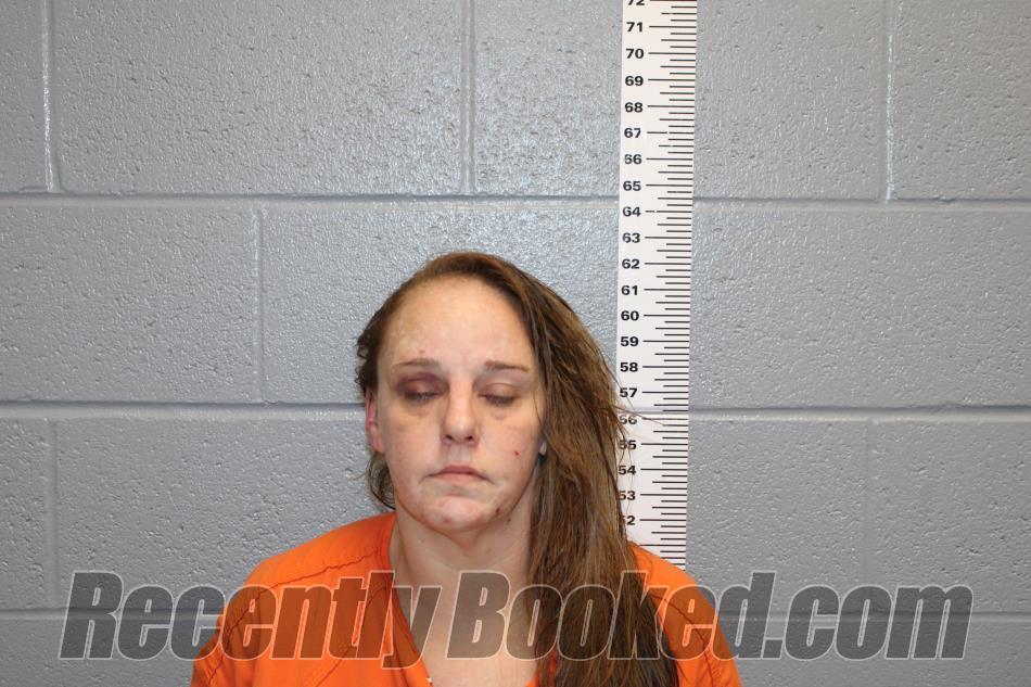 Recent Booking / Mugshot for TAMARA DENISE PERKINS in Bates County ...