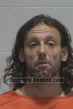 Recent Booking / Mugshot for ALAN MICHAEL SCHILLING in Wayne County ...
