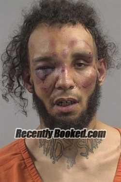 Recent Booking / Mugshot for DEVIN MICHAEL CHAMPION in Wayne County ...