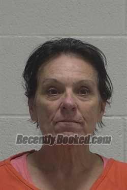 Recent Booking / Mugshot for TONIA RENEE HILL PATE in Wayne County ...