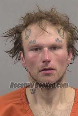 Recent Booking / Mugshot for TYLER GREGORY BEAMAN in Wayne County ...