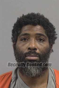 Recent Booking / Mugshot for RONALD PEA JOHNSON in Wayne County, North ...