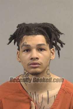 Recent Booking / Mugshot for CHAD ISAIAH RABON COBB in Wayne County ...
