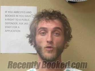 Recent Booking / Mugshot for Austin Wilson in Bollinger County, Missouri
