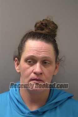 Recent Booking / Mugshot for DANIELLE LOUISE STOUT in Buchanan County ...