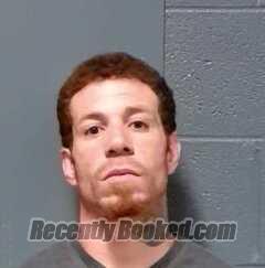 Recent Booking / Mugshot for Andrew Steven Johnson in Callaway County ...