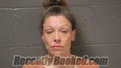 Recent Booking / Mugshot for Danielle Lynn Pointer in Camden County ...