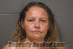 Recent Booking / Mugshot for Jill Ann Canavan in Camden County, Missouri