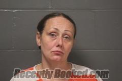 Recent Booking / Mugshot for Dusti Jean Dusek in Camden County, Missouri