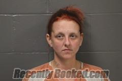 Recent Booking / Mugshot for Destiny Raye Robertson in Camden County ...