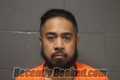 Recent Booking / Mugshot for Lolagi D Visinia in Camden County, Missouri